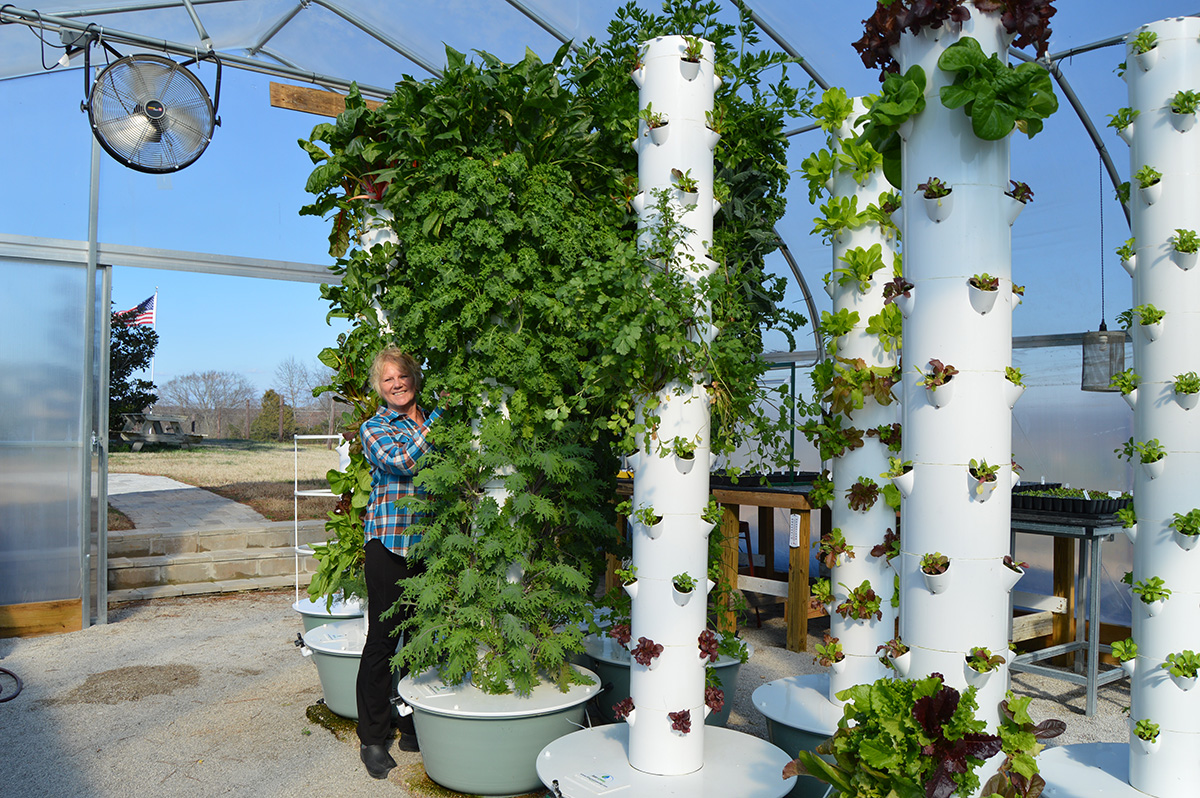 'Vertical Farming' Brings Futuristic Growing Methods To Middle ...