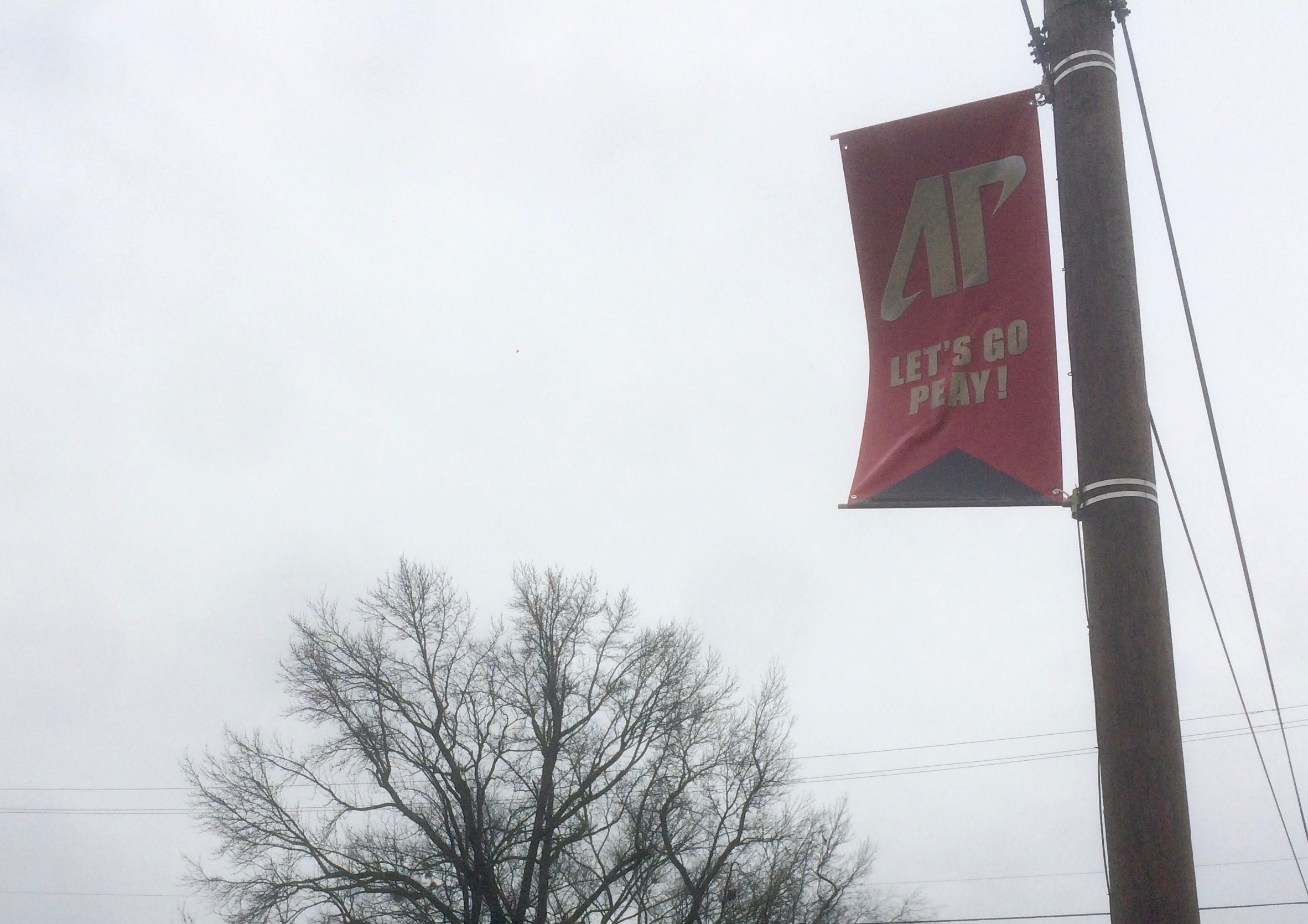 A (Boring) Origin Story For Austin Peay's Famous Team Cheer? | WPLN News