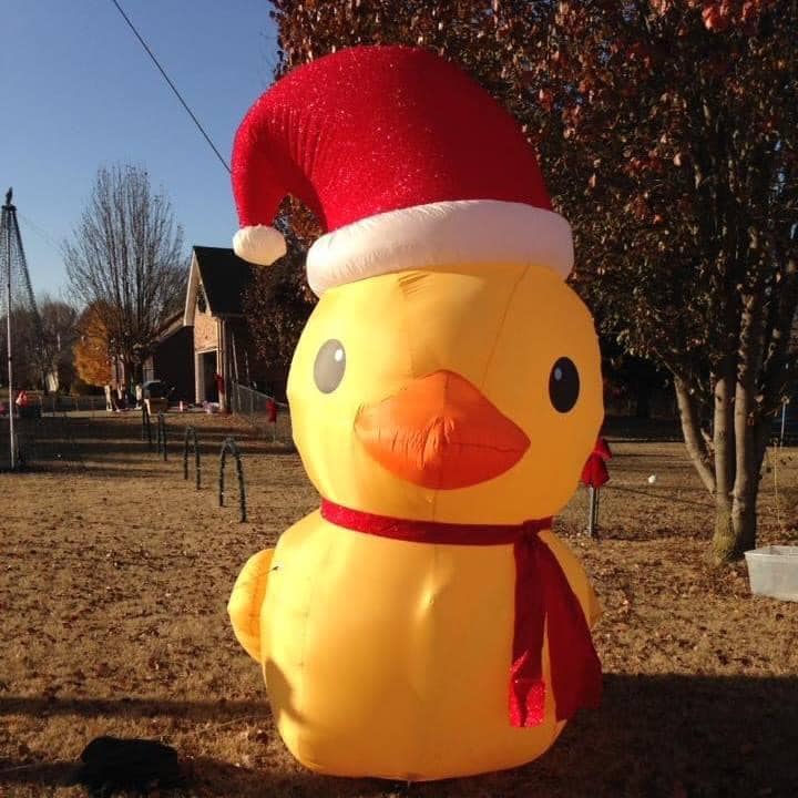 Where To See 200 Holiday Displays In Middle Tennessee, From Light Shows ...