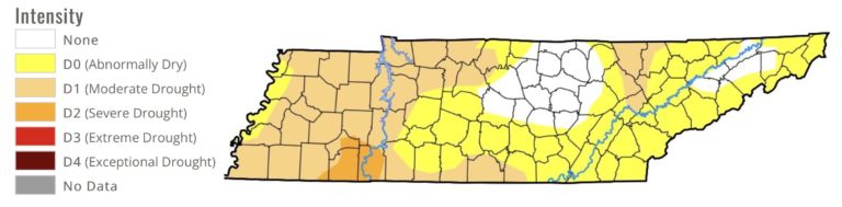 Tennessee’s massive oil spill cost $4.7 million. A federal ...
