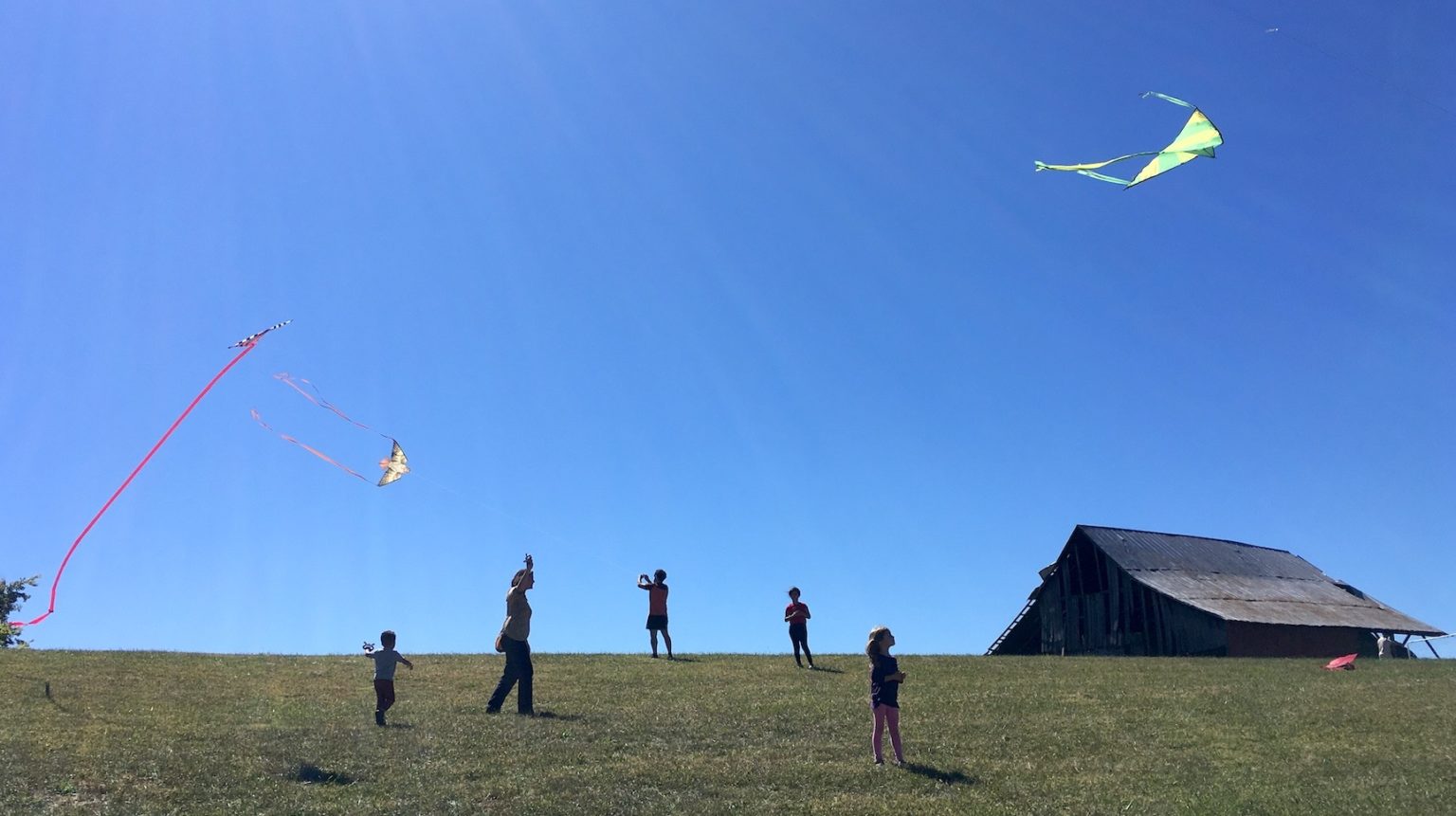 Weekend Adventure: Taming high-flying kites at Mill Ridge Park | WPLN News