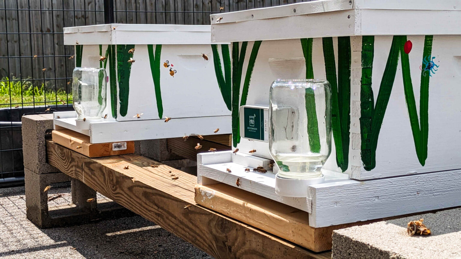 This Nashville high school houses thousands of bees. Here's how they'll ...