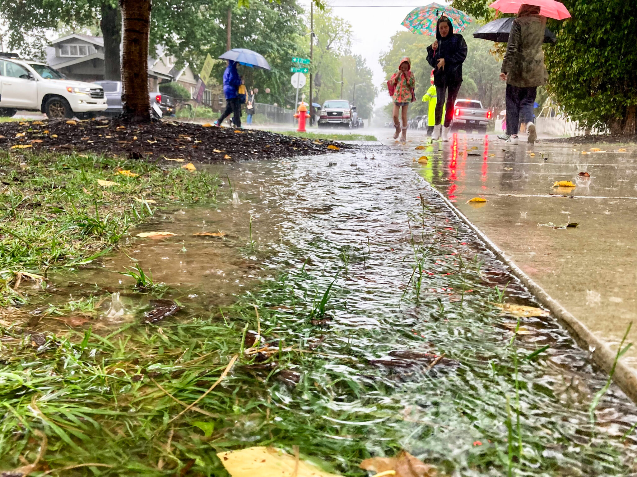 Hurricane Helene’s heat-fueled leftovers hit Tennessee | WPLN News