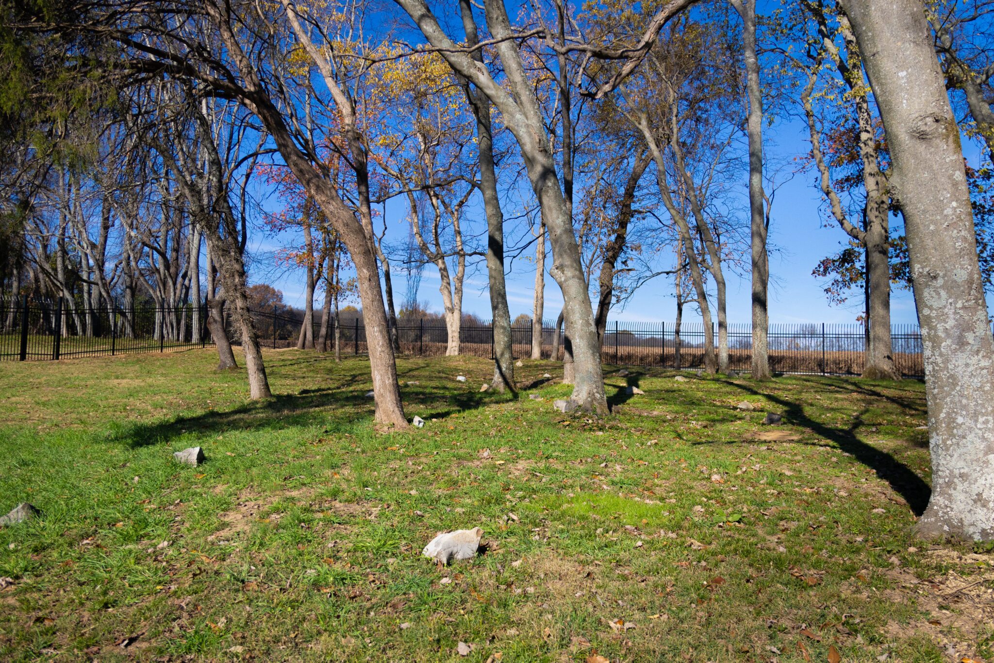 A cemetery for people enslaved by Andrew Jackson has been uncovered at ...