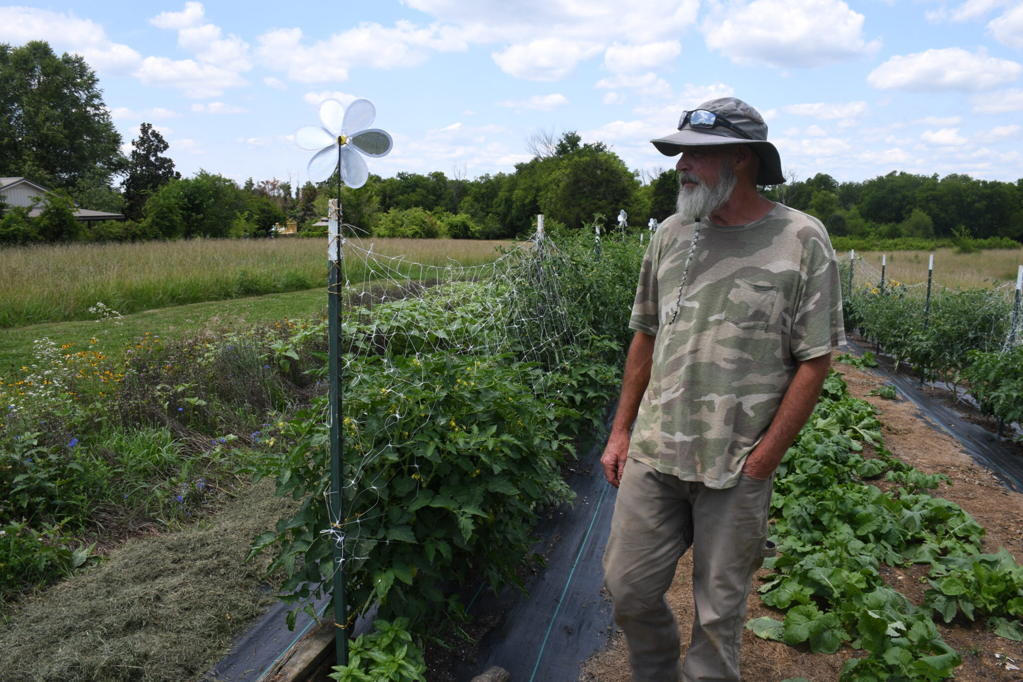Tennessee hemp farmers pivot as state ban takes effect | WPLN News